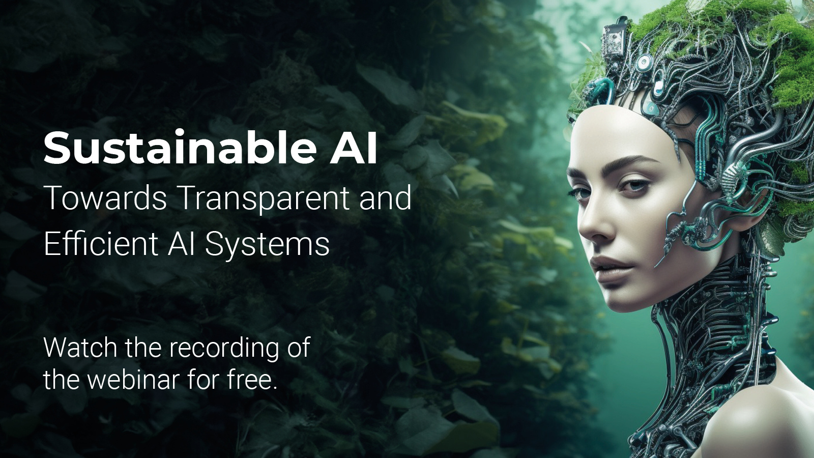 Sustainable AI: Towards Transparent and Efficient AI Systems
